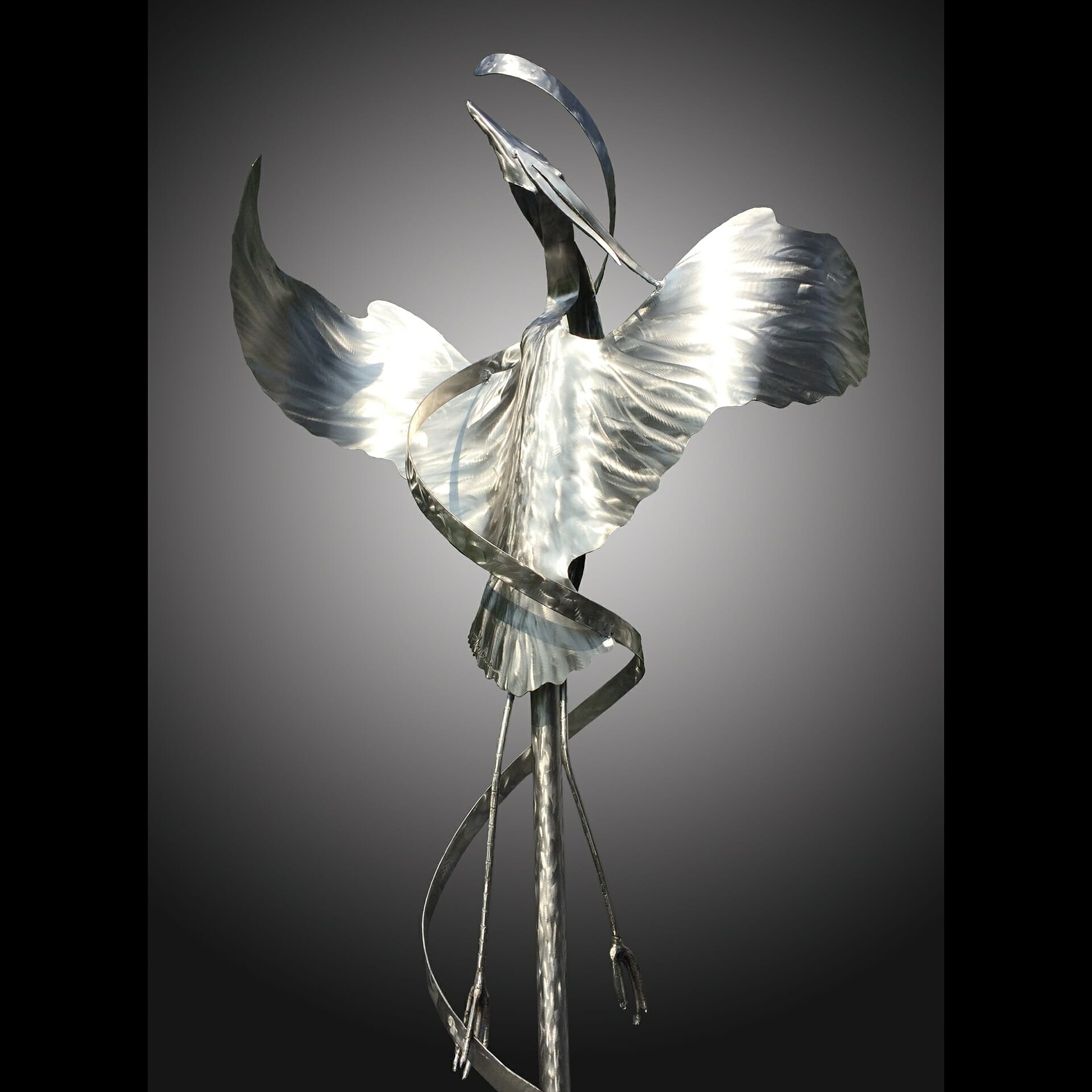 Steve Anderson – Madison Museum of Contemporary Art