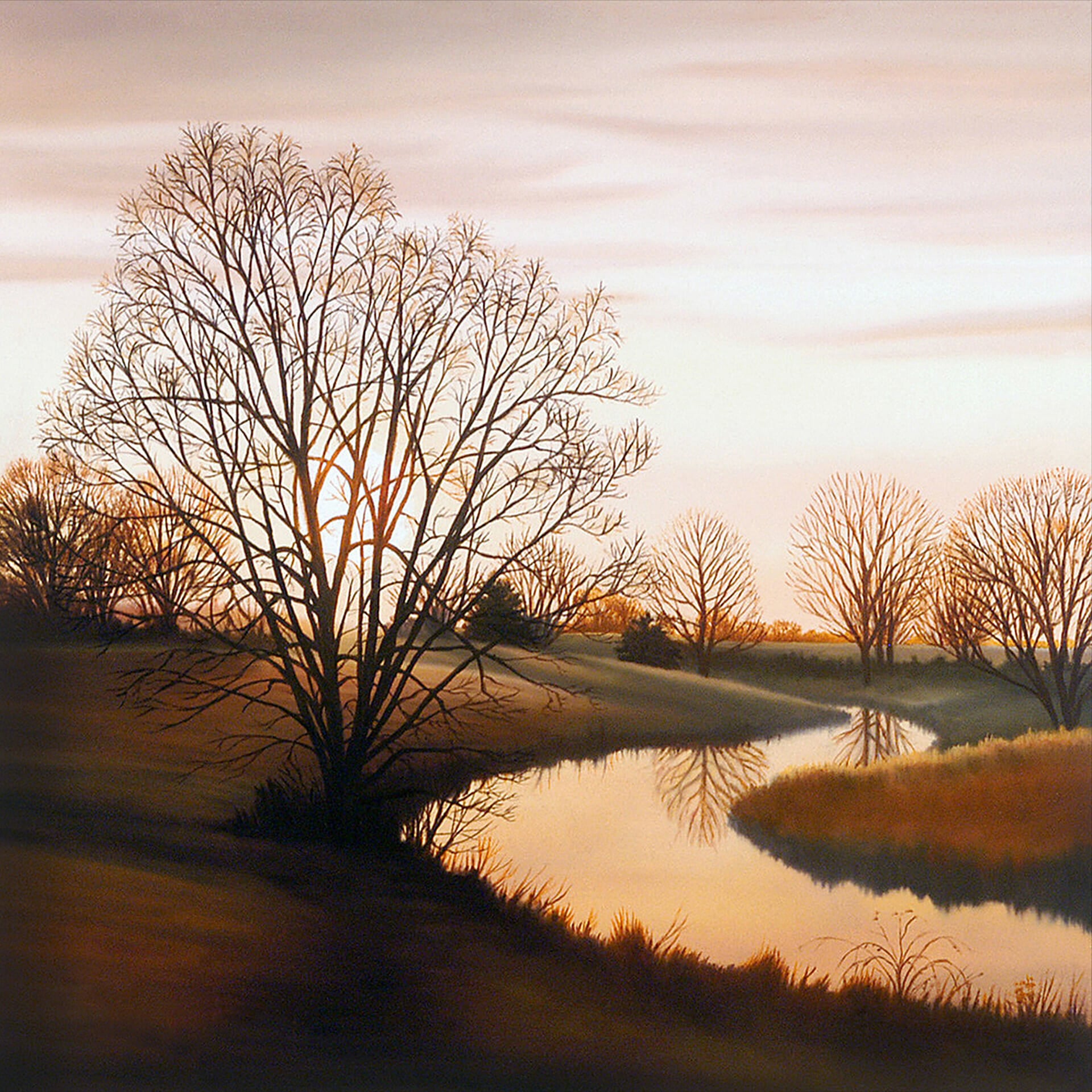 Sean Miller – Madison Museum of Contemporary Art